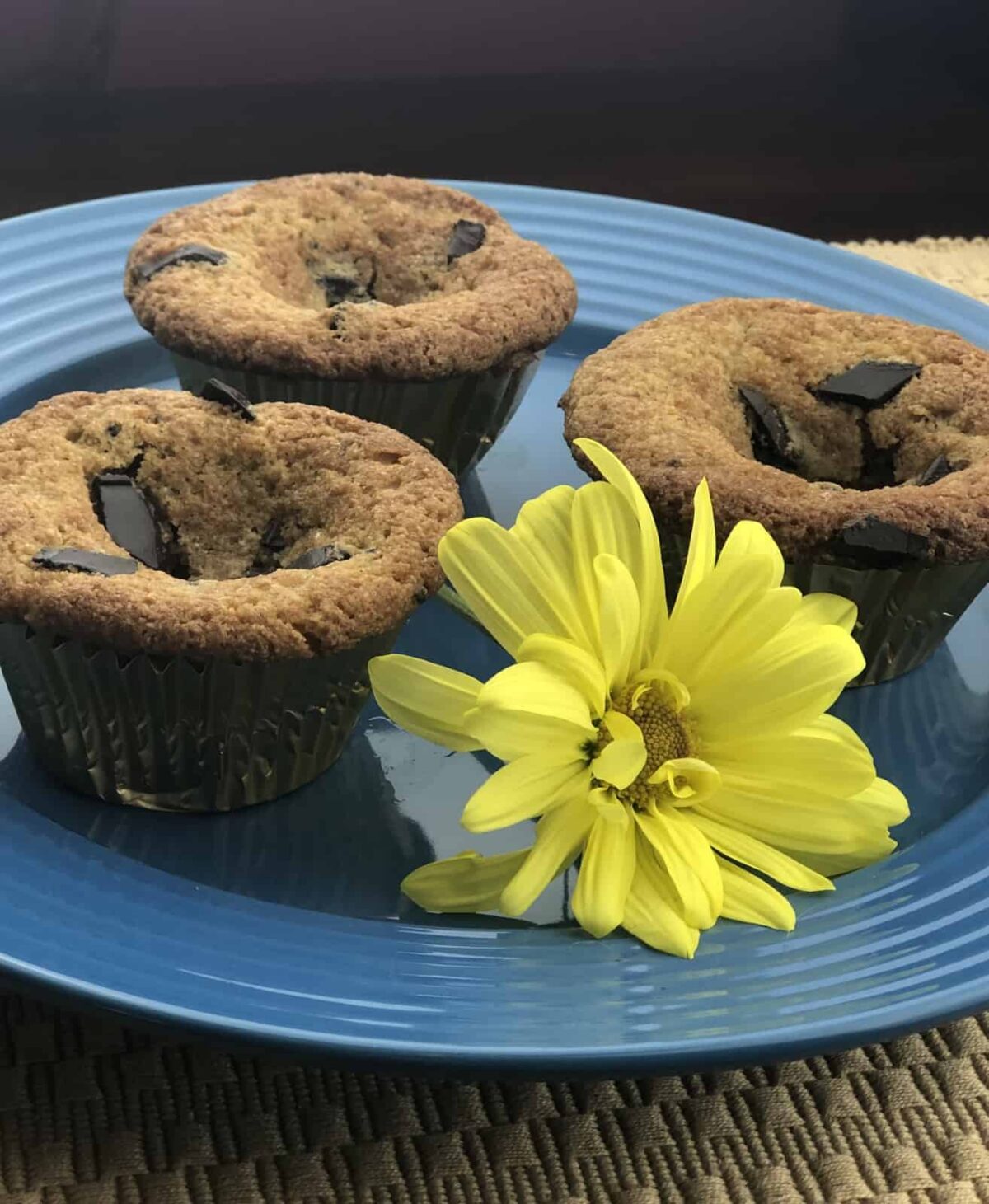 Disneyworld Num Num Cookies - SueSeaQPI