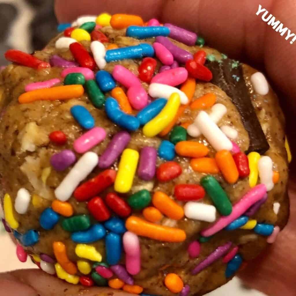 Vanilla Almond Protein Bites - Made with Vanilla Protein Powder - SueSeaQPI