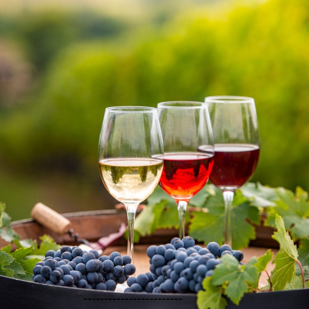 Weight Watchers Points Plus Alcohol Cheat Sheet (Beer, Wine, Vodka ...