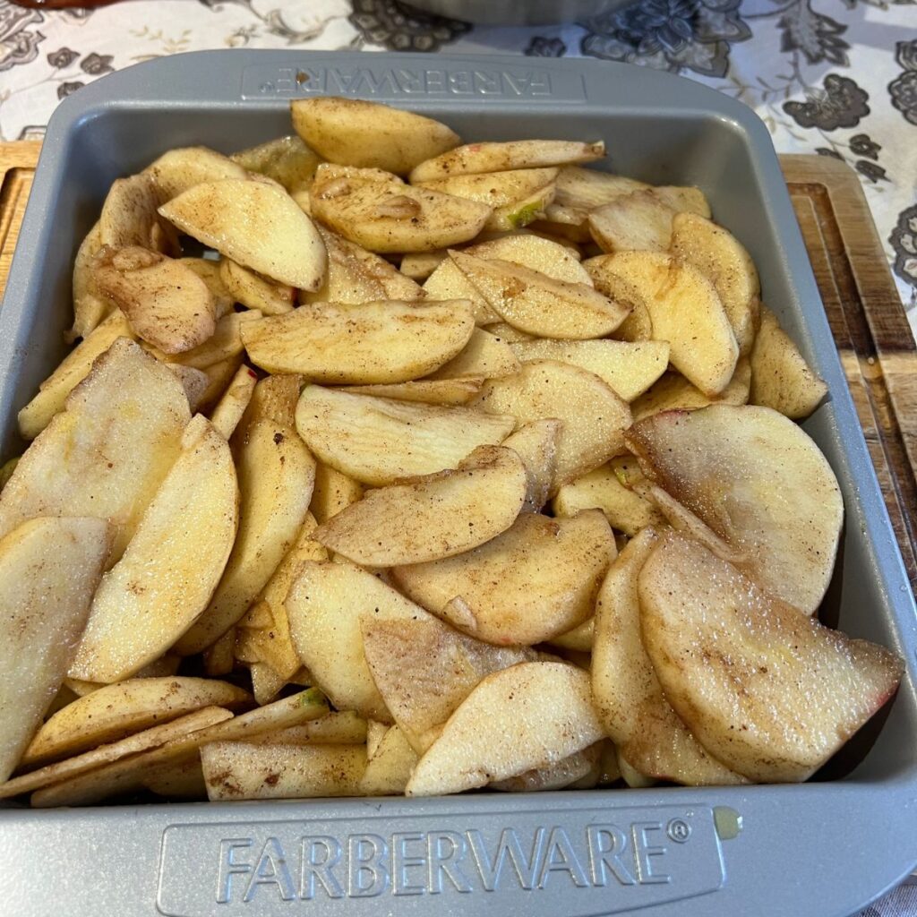 Healthy Apple Crisp Recipe with Oatmeal Topping - SueSeaQPI