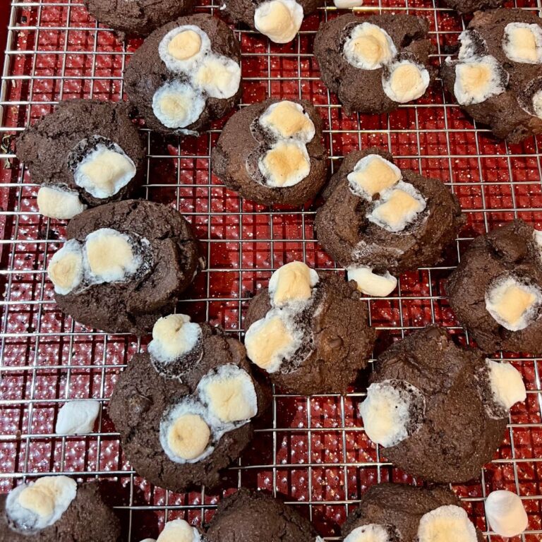 Double Chocolate Chip Hot Cocoa Marshmallow Cookies - SueSeaQPI